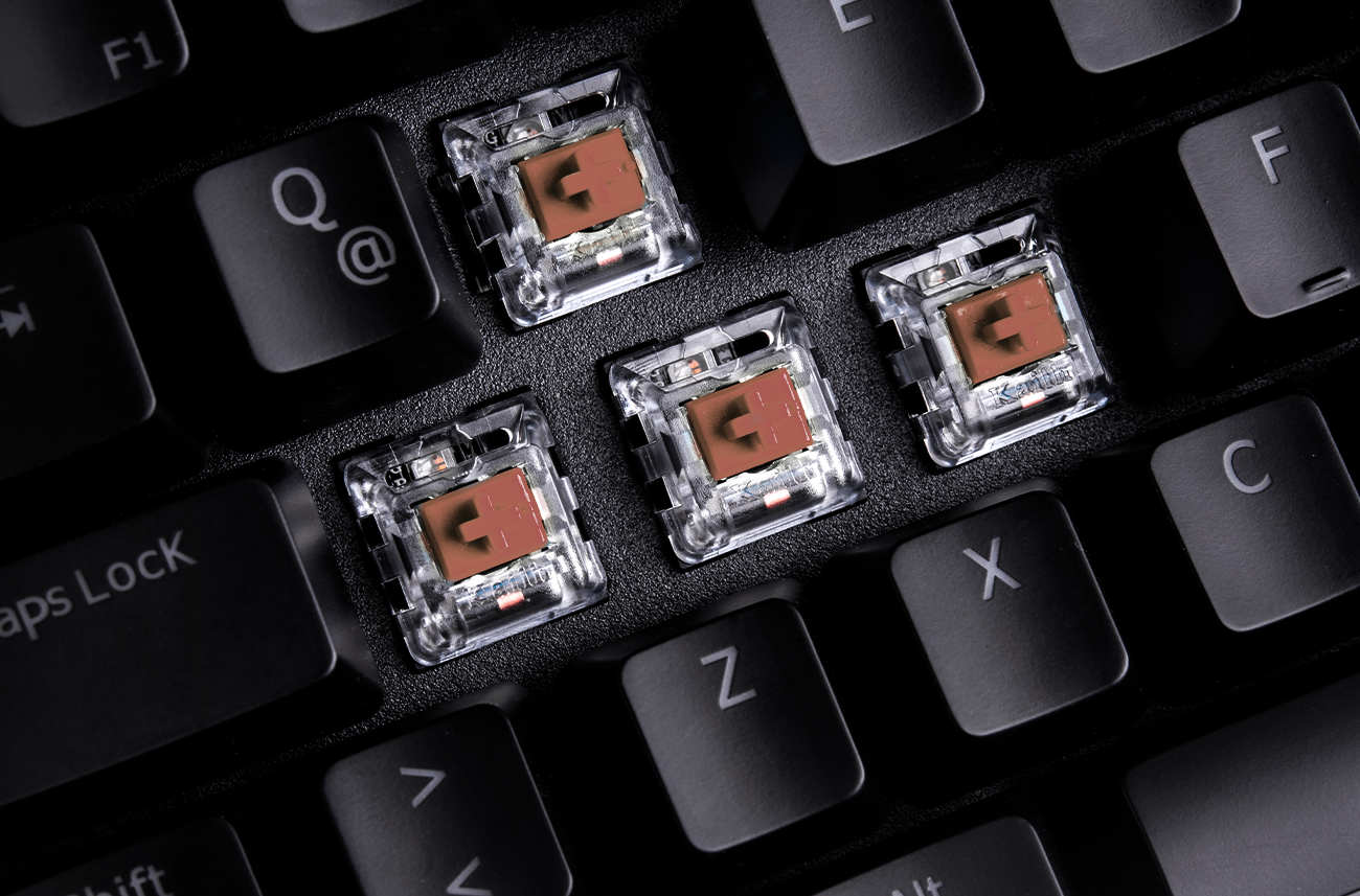 Mintaka – VSG Argentina